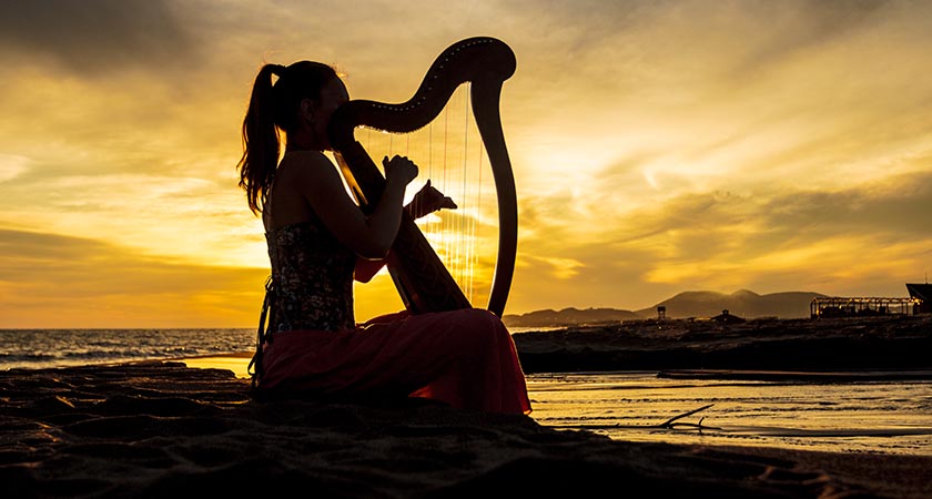 Irish harping added to list of objects representing 'Cultural Heritage ...