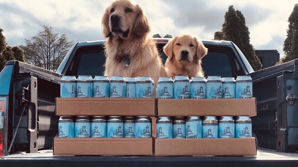 This brewery is using golden retriever ‘Brew Dogs’ to deliver beer ...